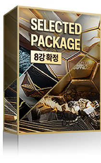 [GRU, BDO, BLD 8강 기회] 8강 확정 셀렉티드 패키지